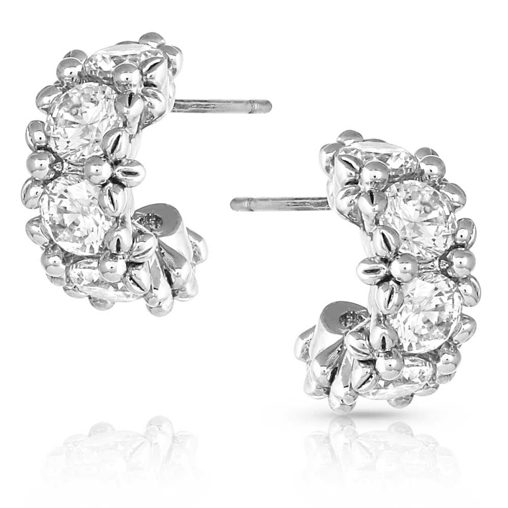 Montana Silversmiths Crystal Divide Hoop Earrings | Cabela's